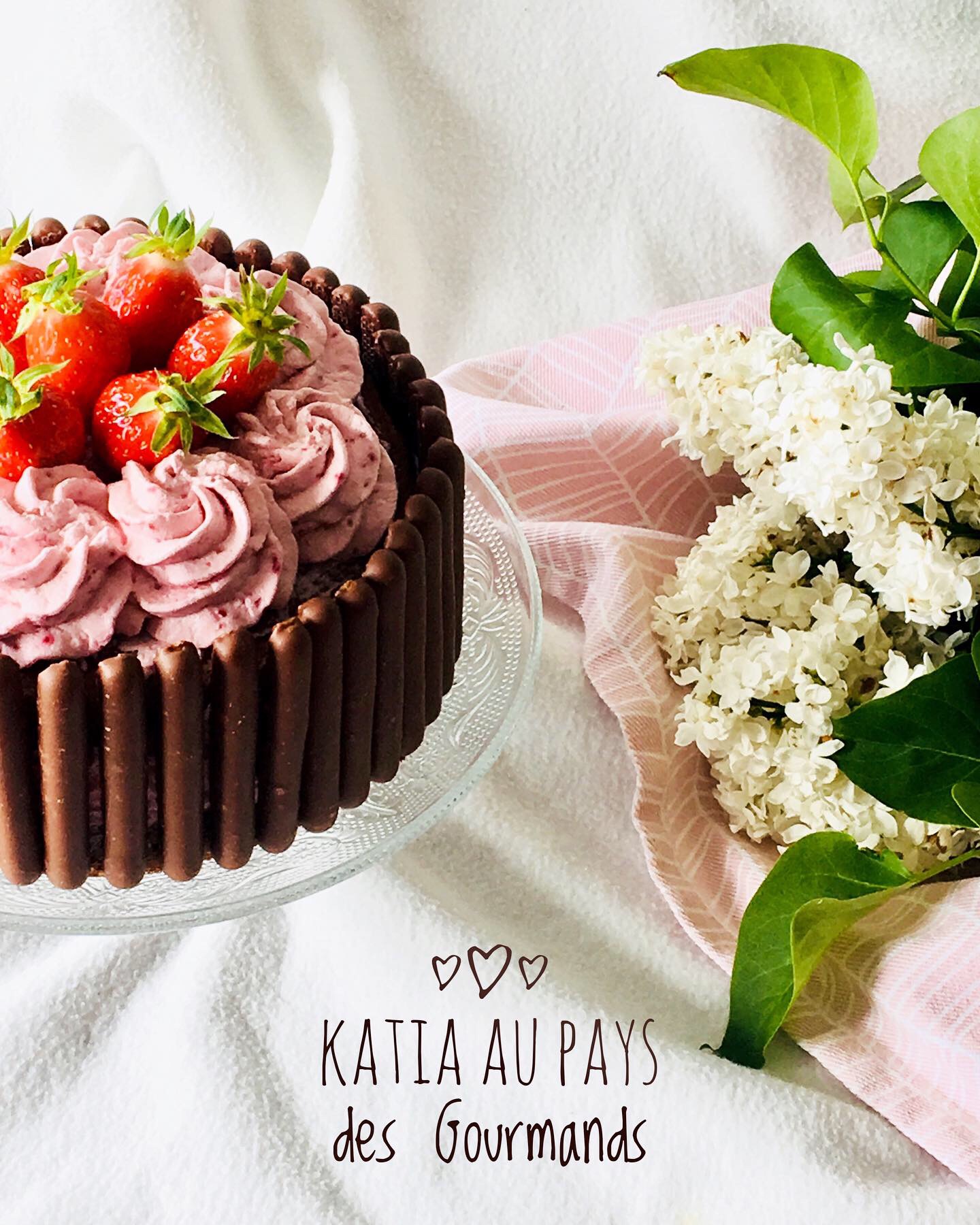 Gâteau choco/fruits rouges - Katia au Pays des Gourmands