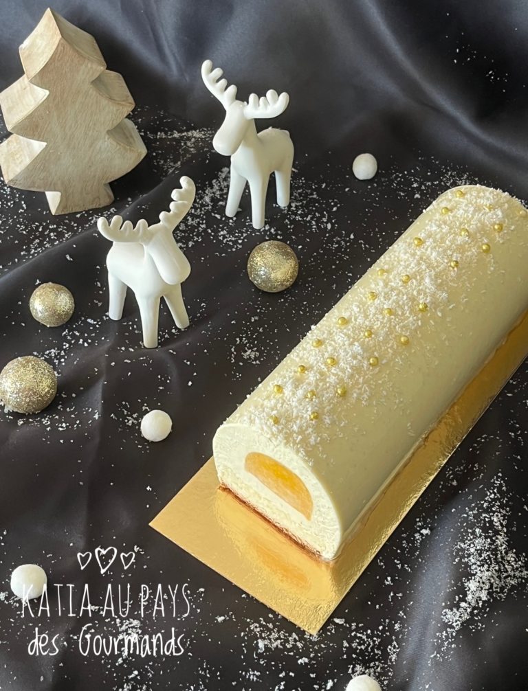 Bûche mousse vanille / insert mangue / biscuit coco - Katia au Pays des ...